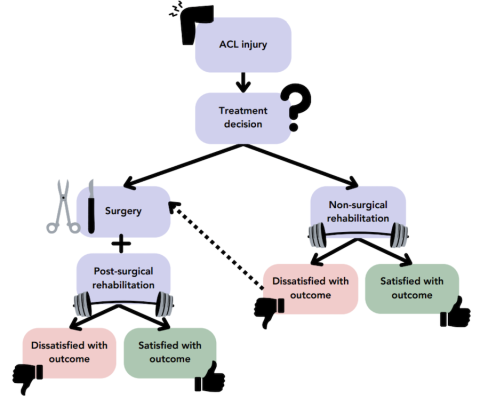 Exploring ACL Injury Management: Beyond the Default to Surgery